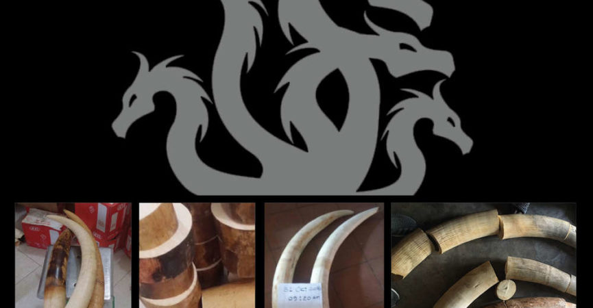 Exposing the Hydra – EIA Reports